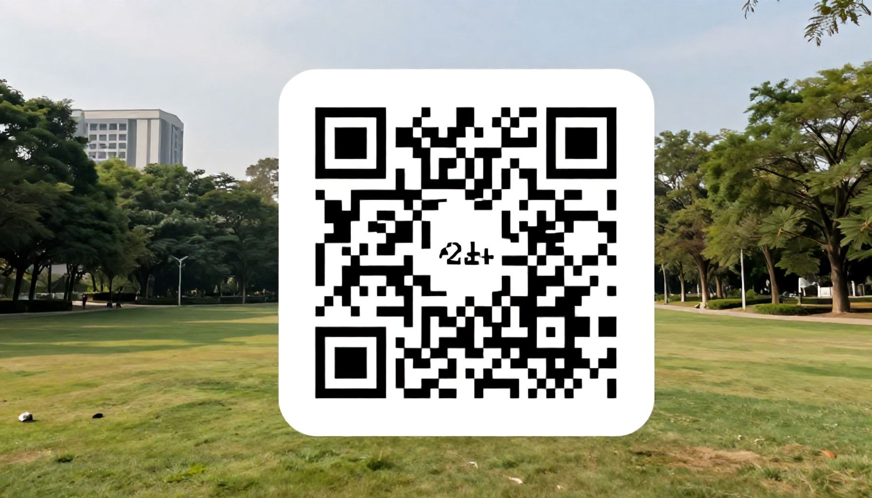 Cómo escanear un código QR de forma segura y rápida en 2024